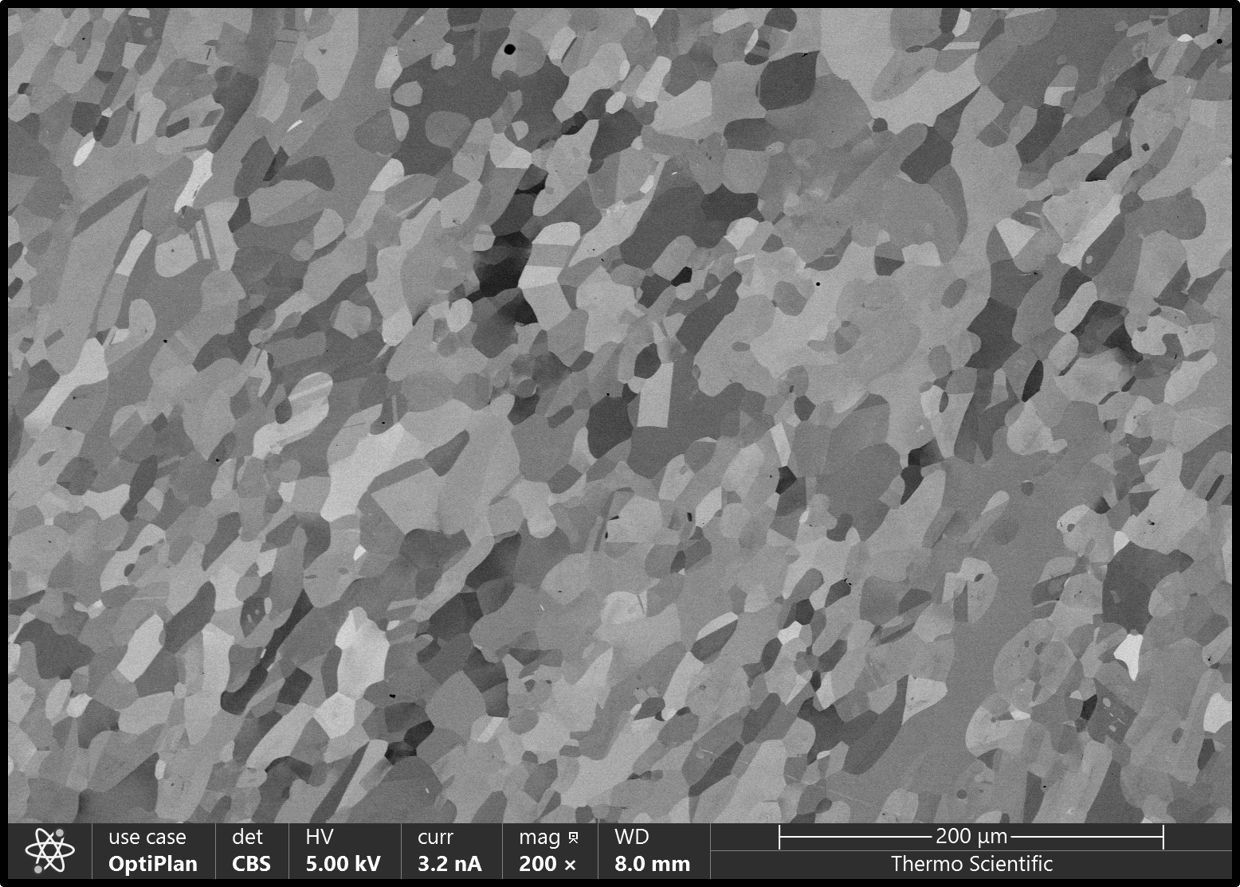 Elevating sample preparation for advanced SEM analysis